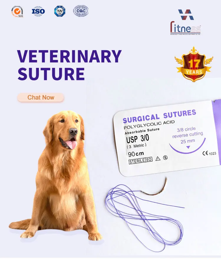 Absorbable Sutures for Veterinary Surgery - Expert Medical