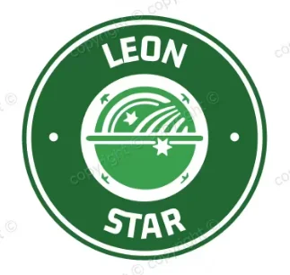 Company Overview - Hubei Leon Star Trading Co., Ltd.