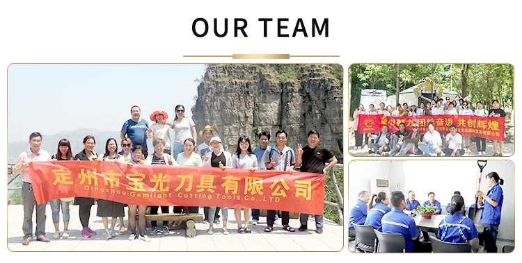 Long Steel Handle Leaf and Branch Collector Rake Plastic 30 Teeth Leaf ...