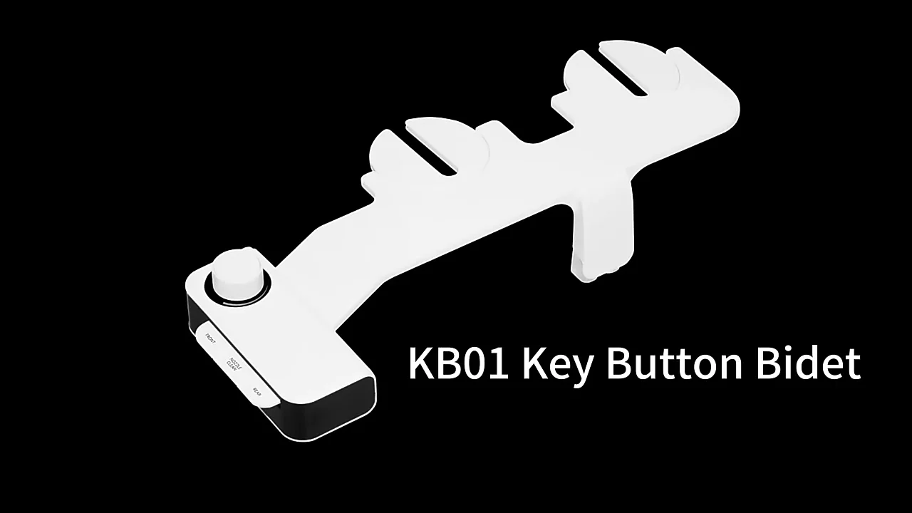 Wholesale Non Electric Toilet Bidet Sprayer Custom Rinse Bide Shattaf ...