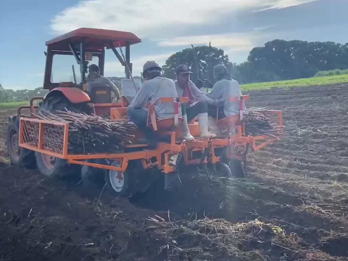 2024 Mounted Farm Tractor Cassava Planter Tapioca Mandioca Yuca Seeder ...