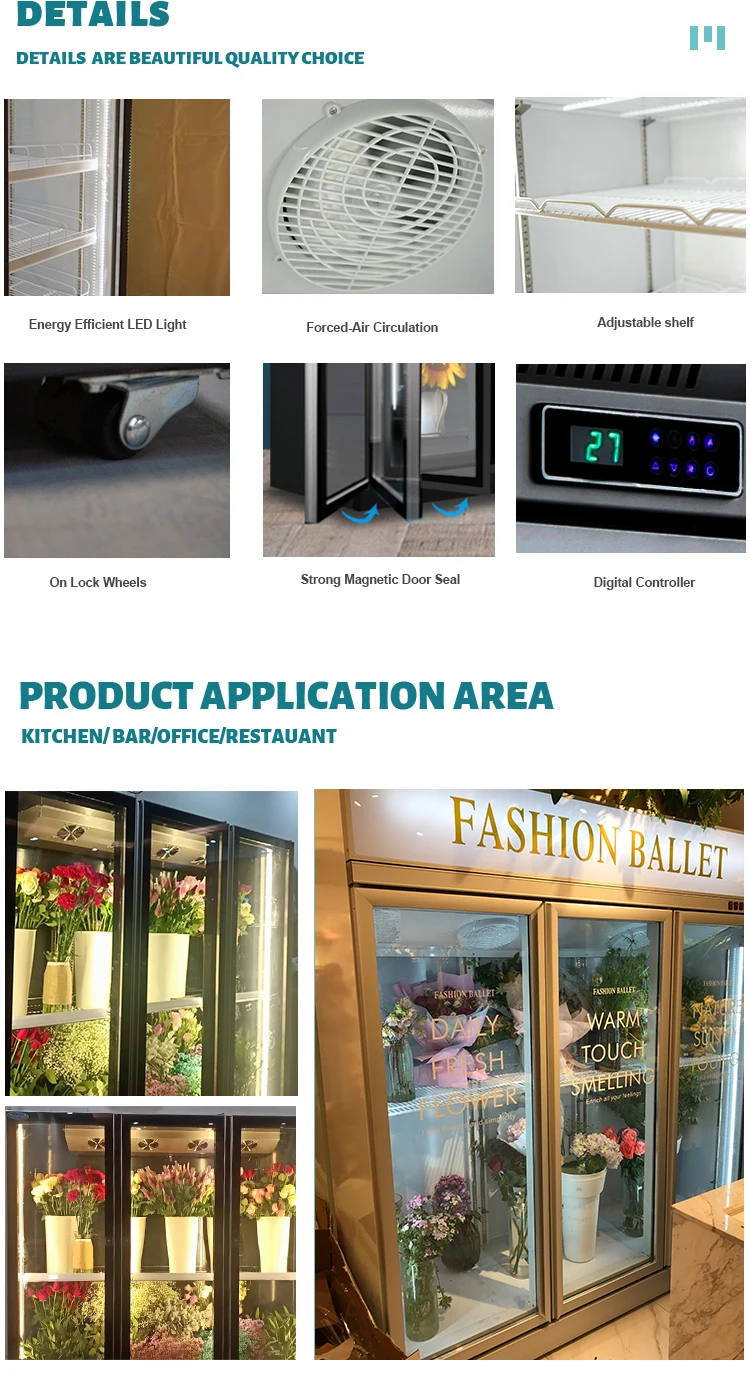 Apex Chiller Flower Display Fridge - Frost Free & Digital Control