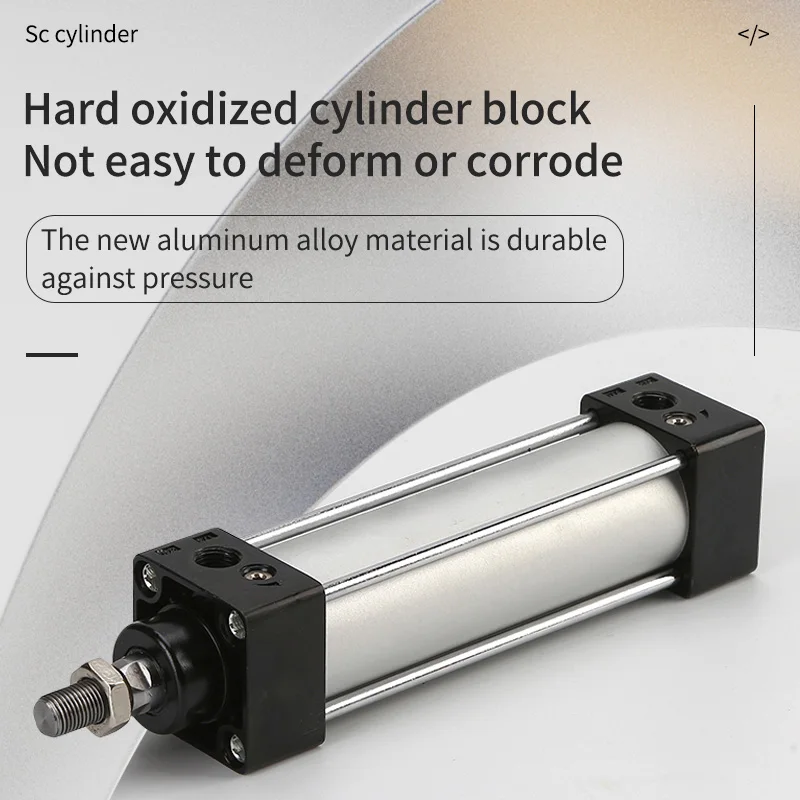BLW PNEUMATIC SC Standard Cylinder - Double Acting Actuator
