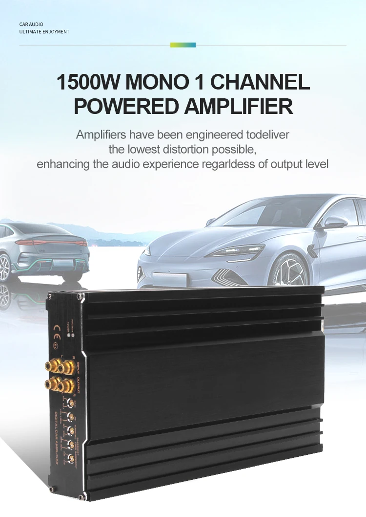 Powerful 600w 12v Class D Mono Block Digital Car Amplifier With 1 ...