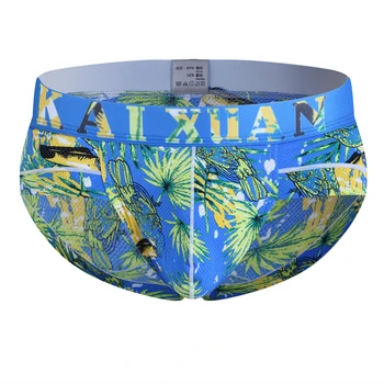 Hot Gay Fashion Design Wangjiang Male Briefs Mens Underwear Models ...
