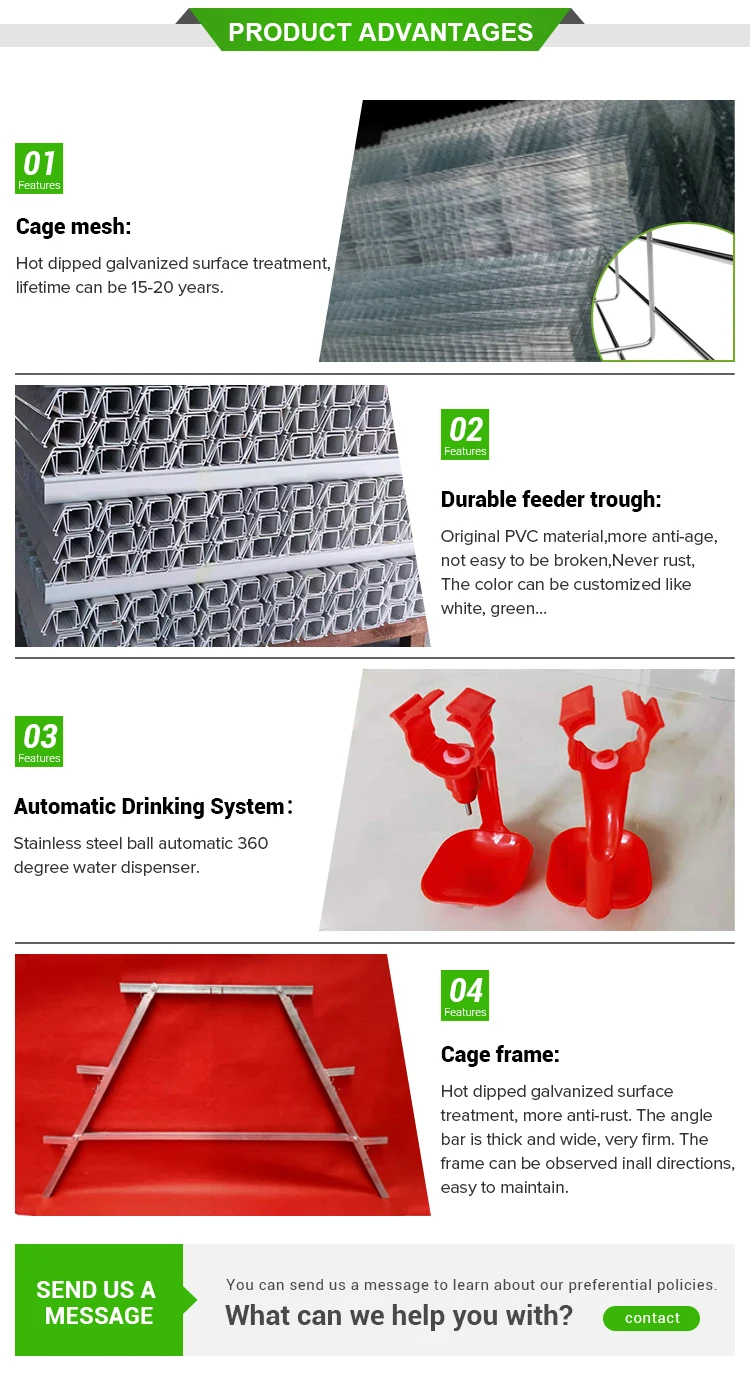 Zambia a Type Galvanized Automatic Egg Laying Poultry Farm Chicken ...