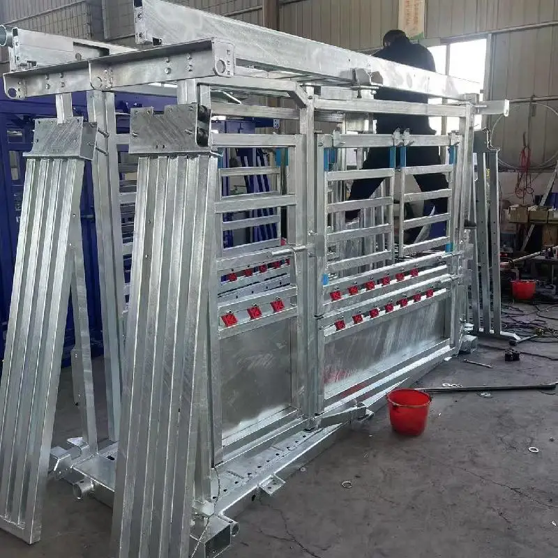 Heavy-duty Automatic Manual Cattle Squeeze Chute with Scales