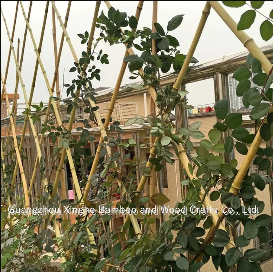 Retractable Bamboo Pole Fence Bamboo Trellis Expandable Tonkin Bamboo ...