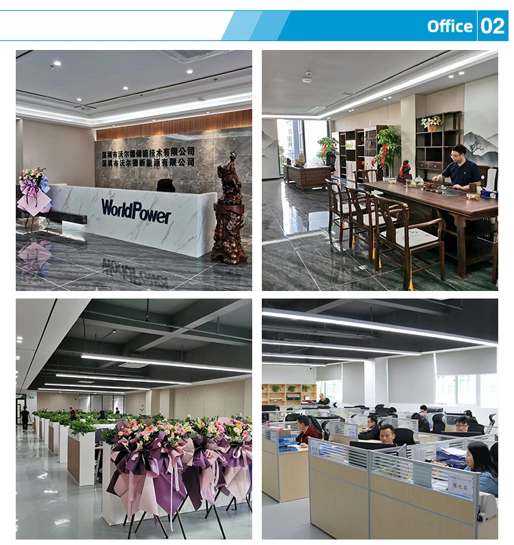 Customize Hailong 48 V 48v 16ah 20ah 1000w Lithium Ion Li-ion Ebike ...