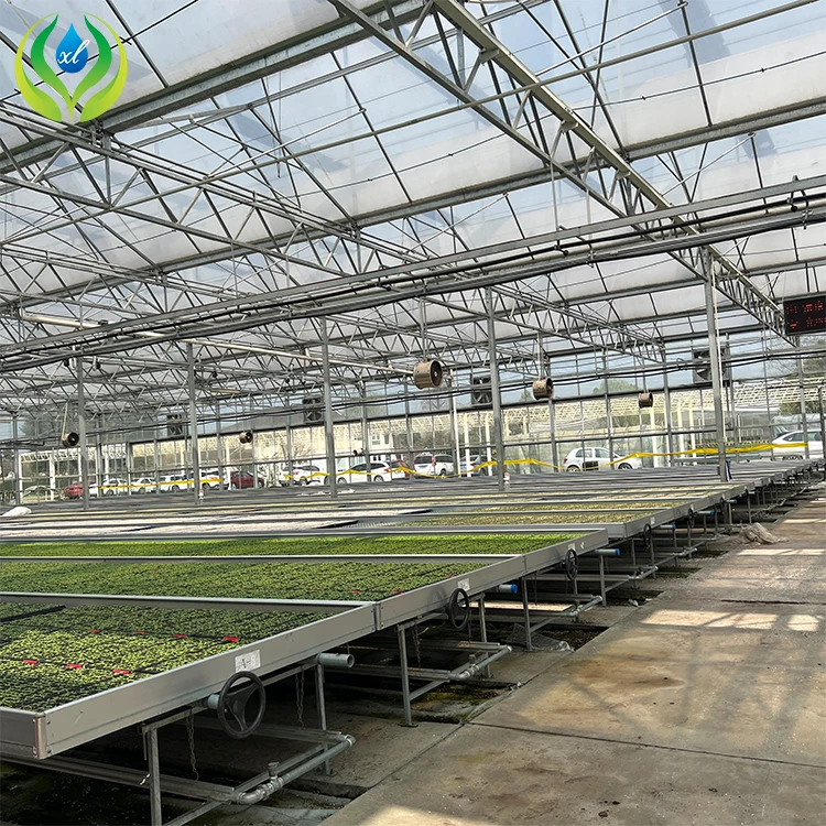 MYXL Hydroponic Tables Indoor Growing System Wire Mesh Flood Table Grow ...