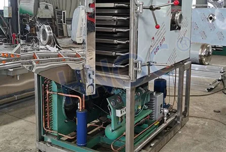 Industrial Lyophilization Machine - Efficient Freeze Drying