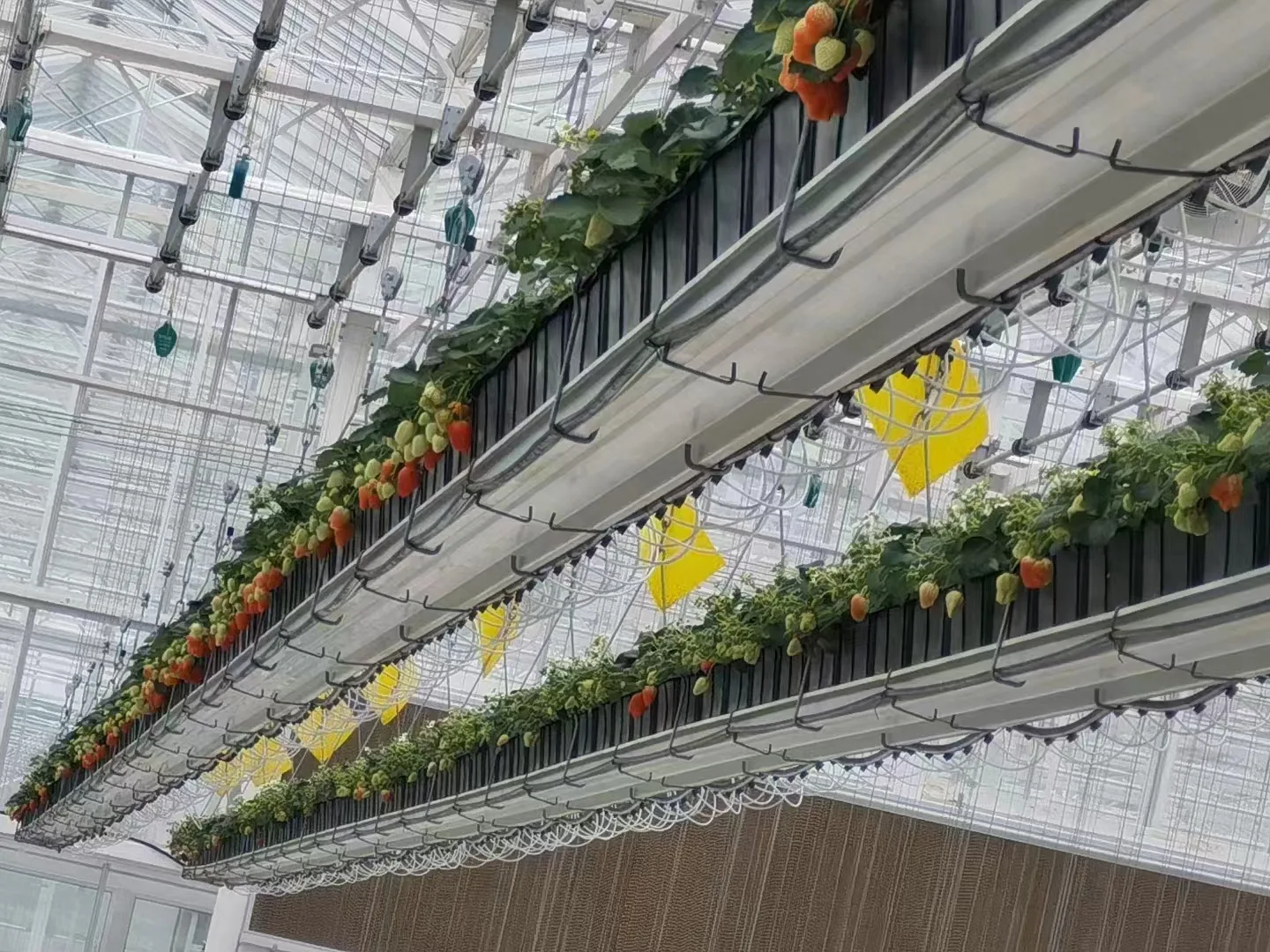 Galvanized PVC Hydroponic Strawberry Planting Channel for Efficient ...