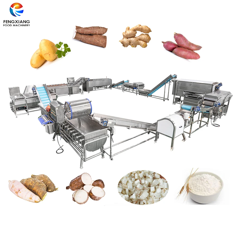 High Efficiency Cassava Processing with Automatic Machines