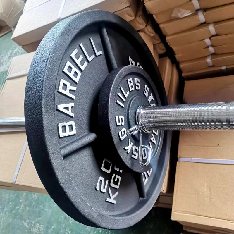 Zjfit Fitness Cast Iron Standard Silver Black Weight Plates Pounds ...