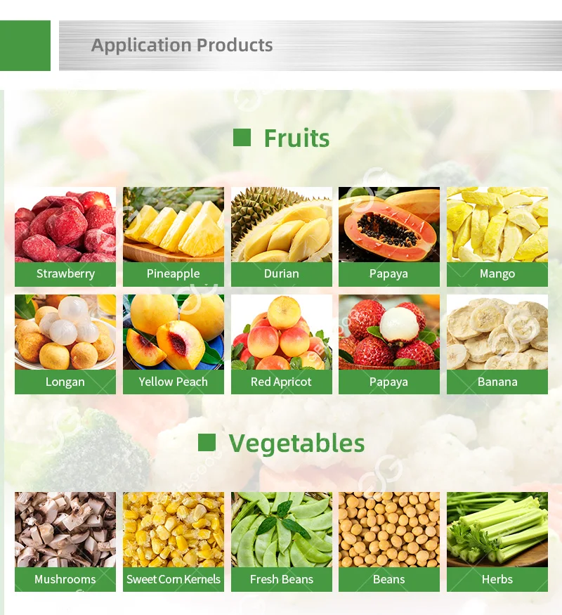 Gelgoog Automatic Frozen 500kg/h Mango Freeze Machine Shock Freezing Blast Freezer For Fruits ...
