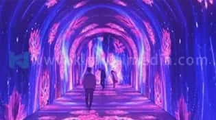 Immersive LED Tunnel Video Display Projector & Digital Light Solutions OEM