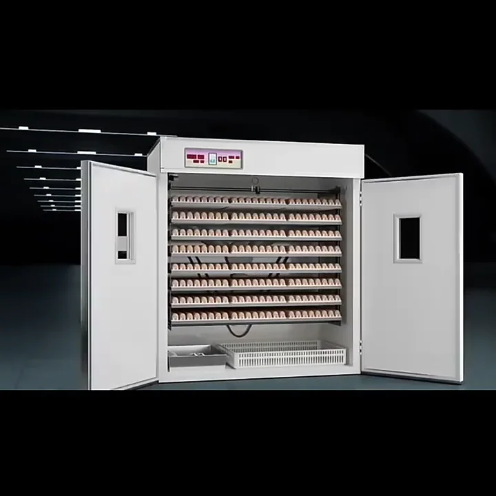 Incubadora De Huevos Fully Automatic Industrial Large Chicken Egg ...