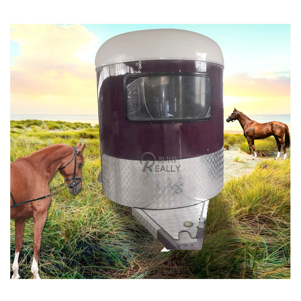 Australian Standard Deluxe Horse Floating Trailer Angle 2 Horses ...