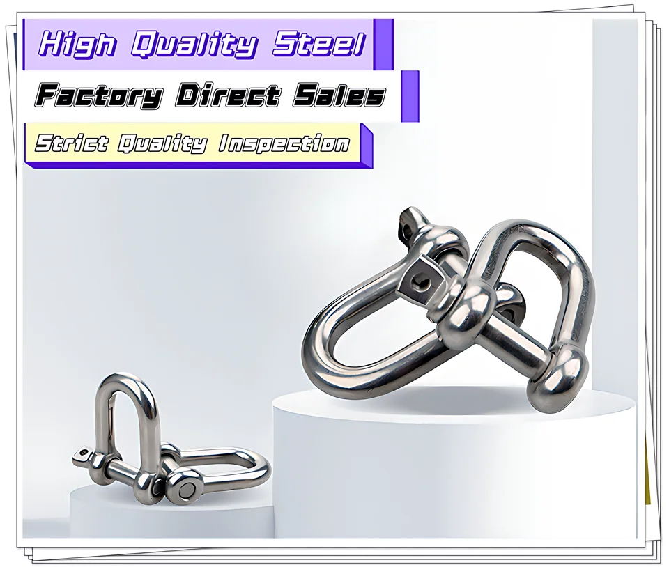 D Shackles Factory 304 201 Galvanized Stainless Steel Guangdong Foshan ...