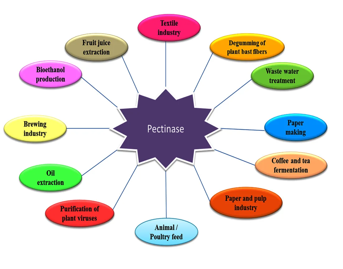 Insene Pectinase Powder - Food Grade Enzyme for Various Uses