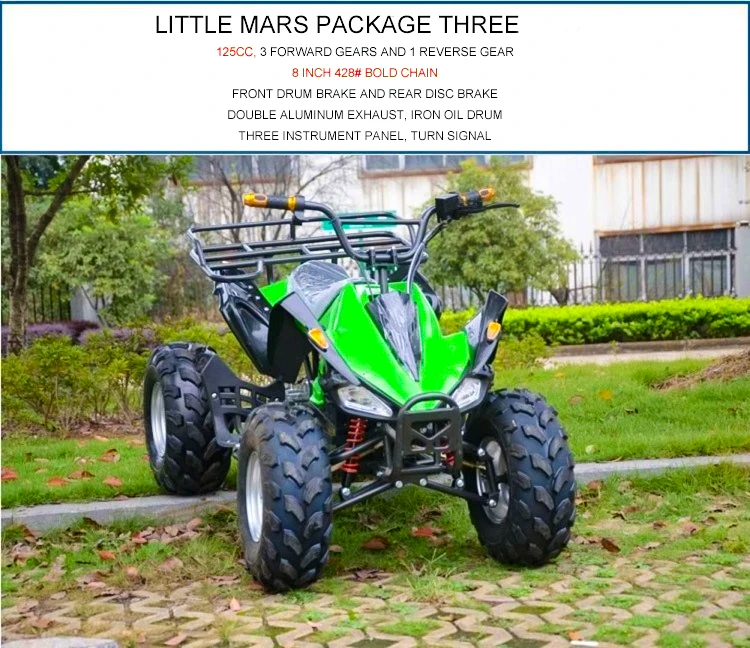 300cc 4 Stroke Big Gas Powered Utility Adults Quad Bike Atv For Cheap ...