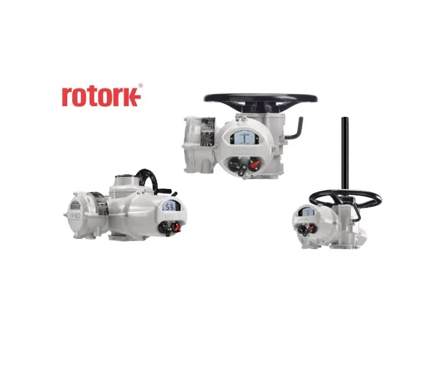 China Pneumatic Control Valve With Rotork Actuator Flowserve D20 Valve ...