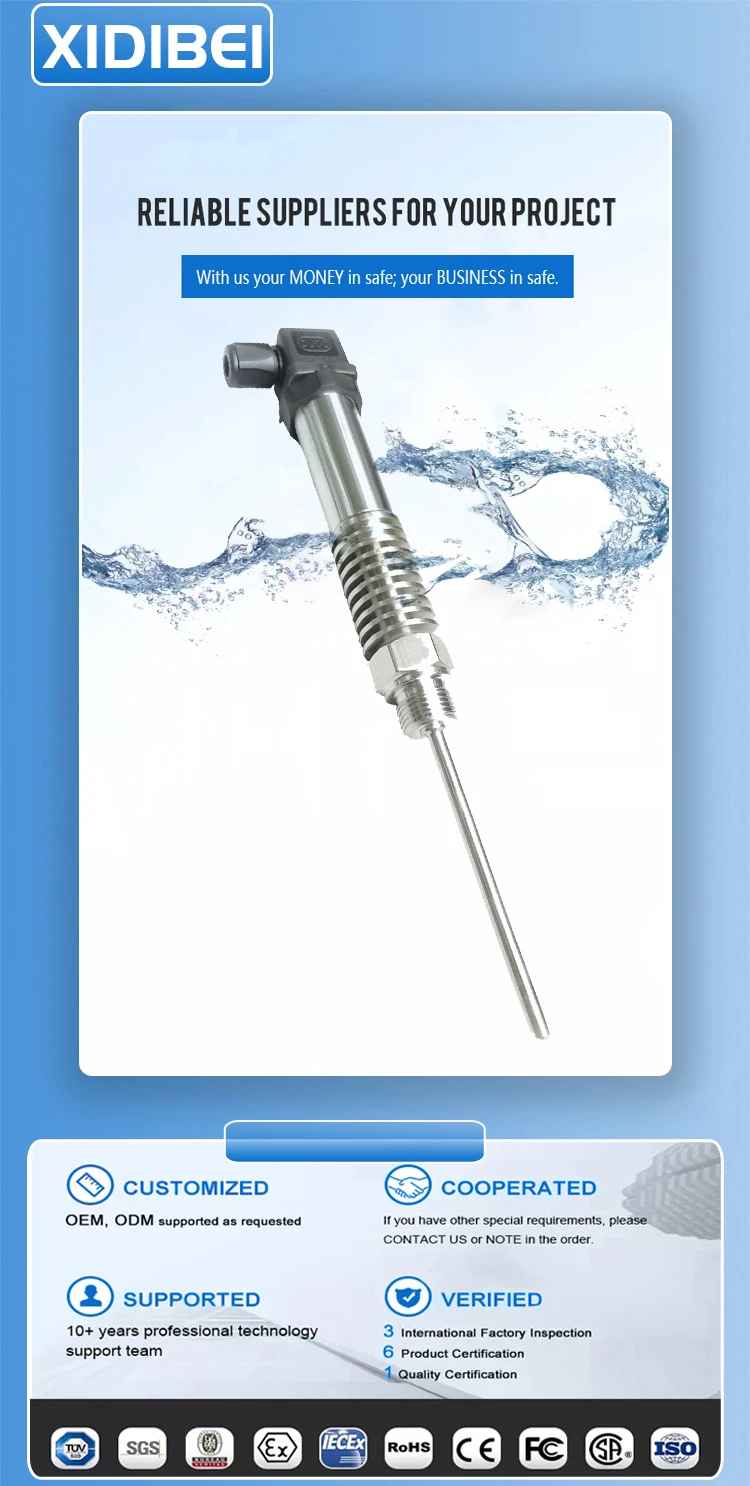 Hersman 4-20ma Thermal Resistance Pt100 Sensor Plug-in Integrated High ...