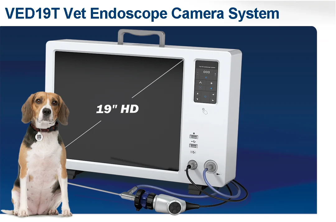 19'' Display Handheld Full HD Imaging Veterinary Endoscope Camera for ...