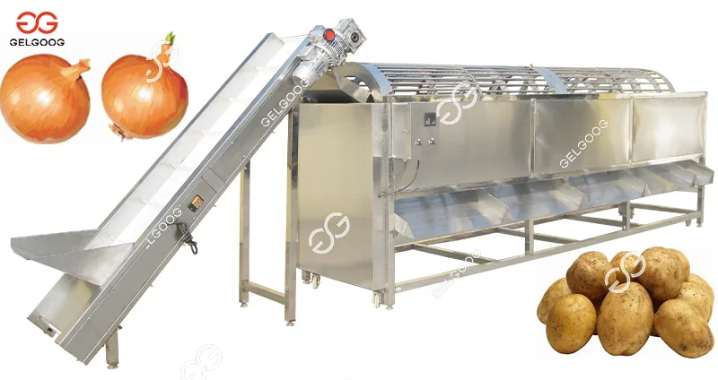 High Efficiency Fruit Sorting Machines - Wholesale Available