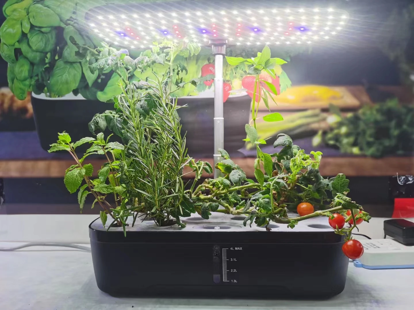 Hydroponic Grow System Kit - Smart Plant Growth Lights