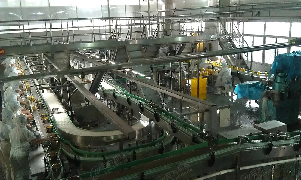 Leadworld Canned Pineapple Processing Machine - High Efficiency