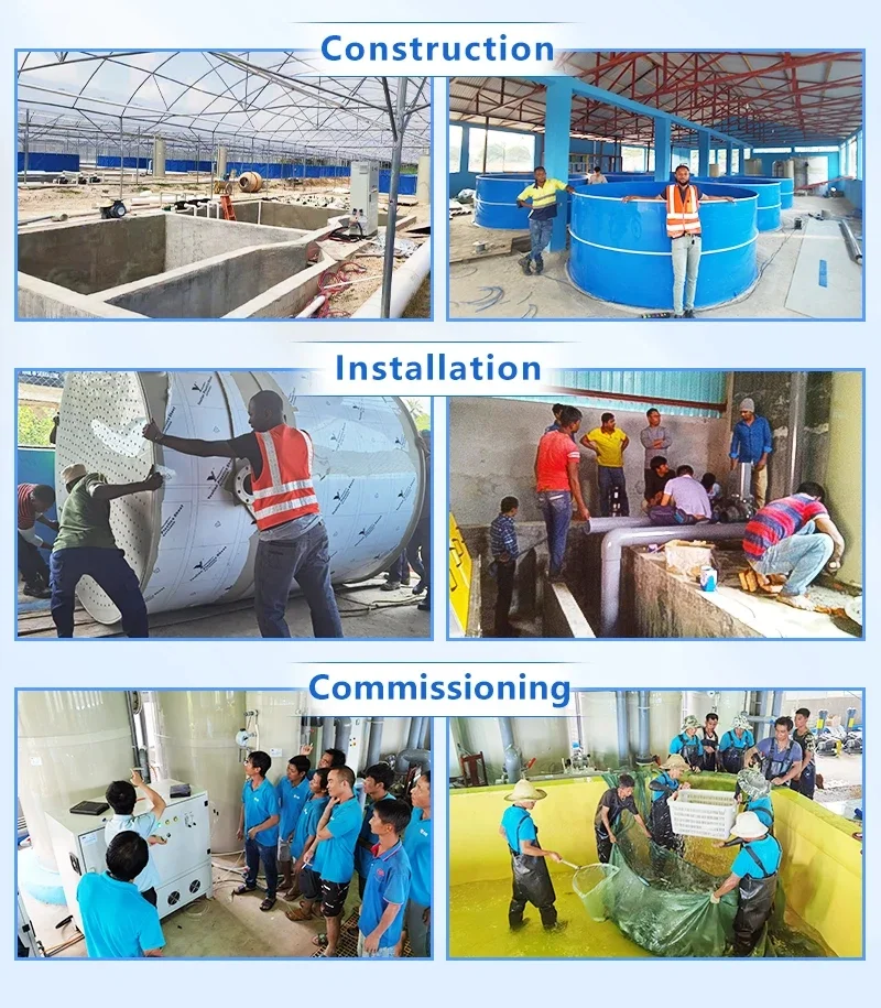 Wholesale Indoor Ras Aquaculture Tilapia Growing System Recirculating ...