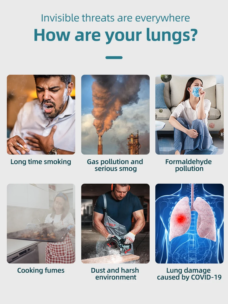 Wholesale Chinese Herbs Medicines Lung Respiratory Natural Tea ...