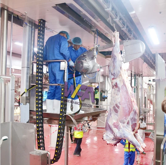 Modern Abattoir Cattle Slaughterhouse Automatic Splitting Saw