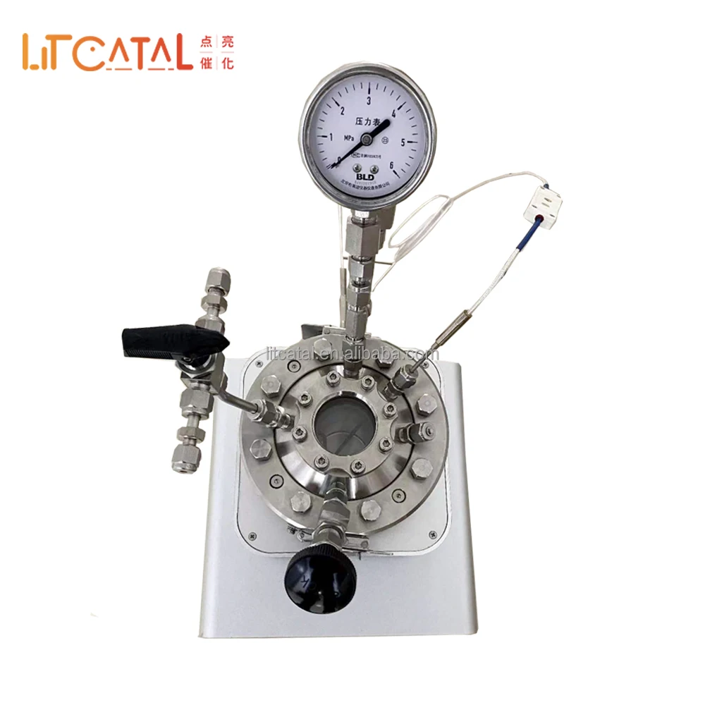 High Pressure and Temperature Reactor with Illumination Window