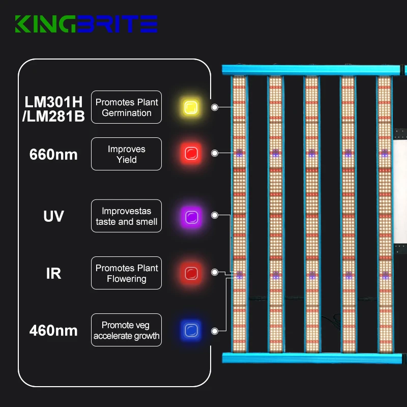 Kingbrite New X55 240w 320w 480w 650w 800w 1000w Samsung Lm301b 301h ...