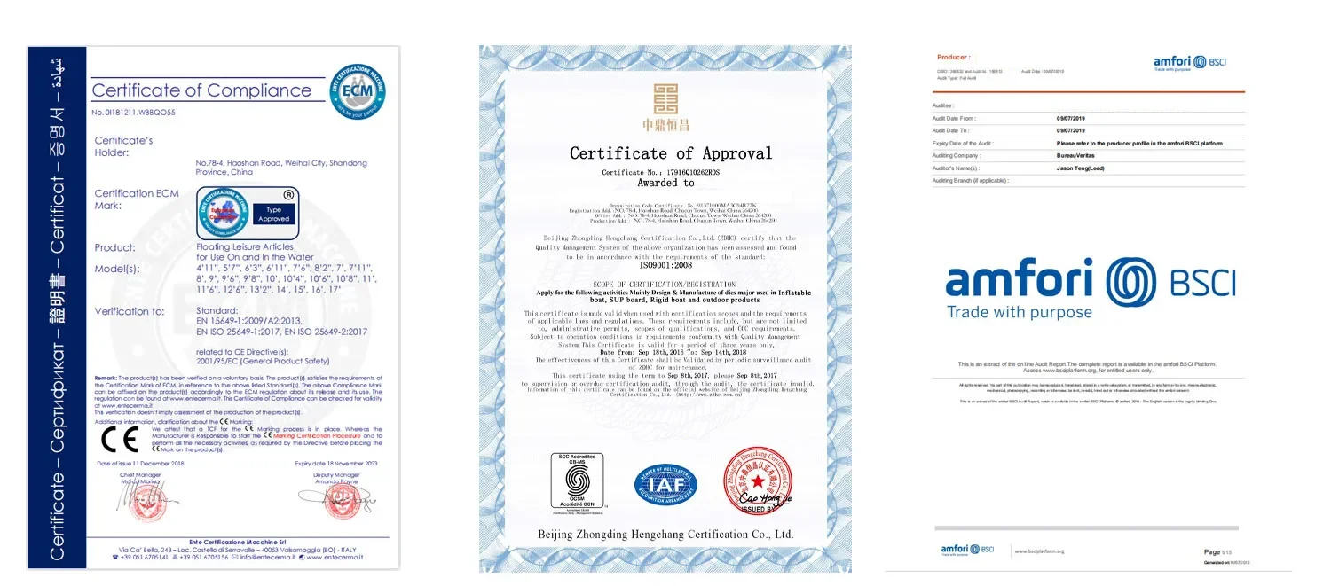 Funworldsport 2024 Inflatable Water River Sea Bike Swan Pedal Boat ...