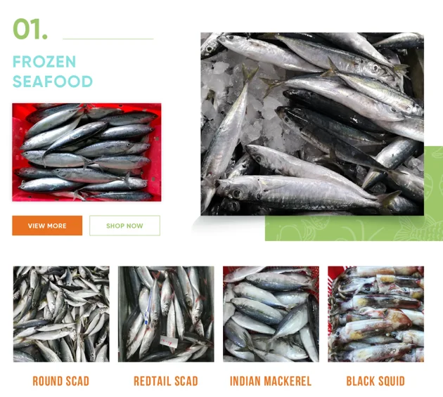 White / Light Pink Color Frozen Seafood Hypophthalmus Pangasius Cube ...