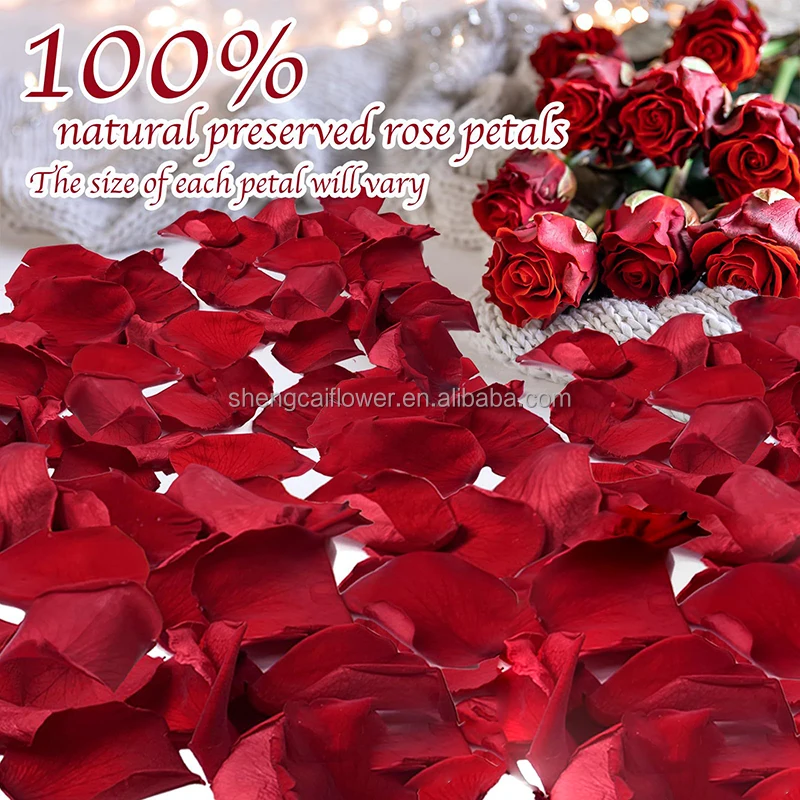 10 G Preserved Natural Red Rose Dried Petals Organic Real Flower Rose ...