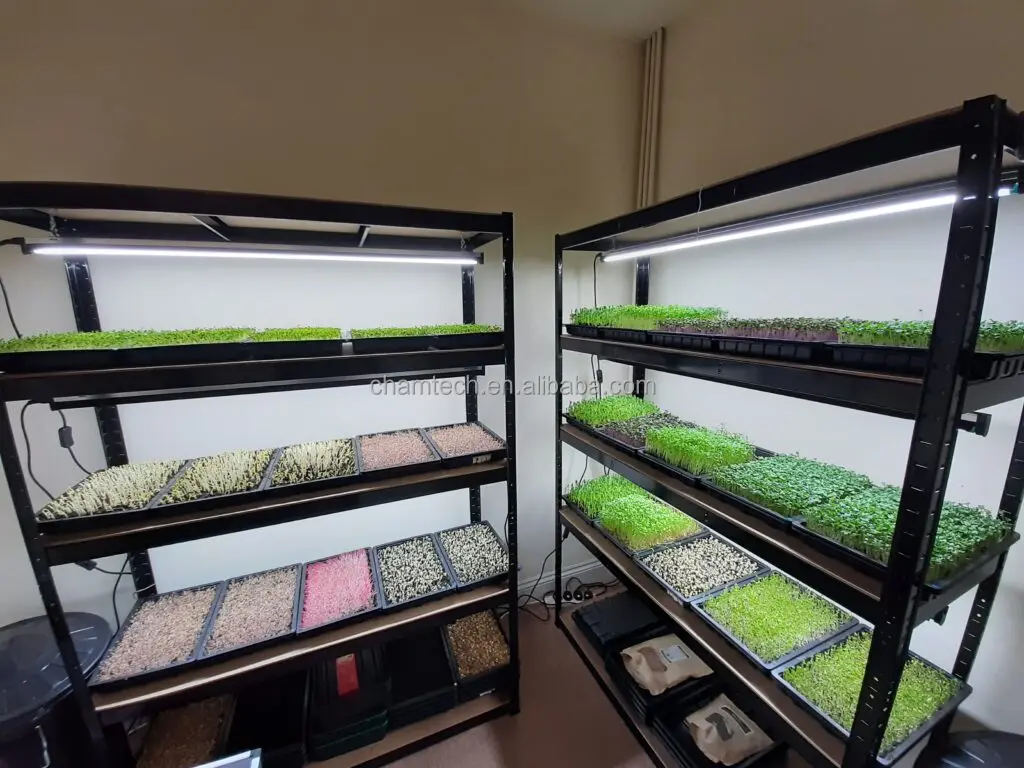 Factory Direct Sale Microgreen Flood Table With Custom Size And Flood ...