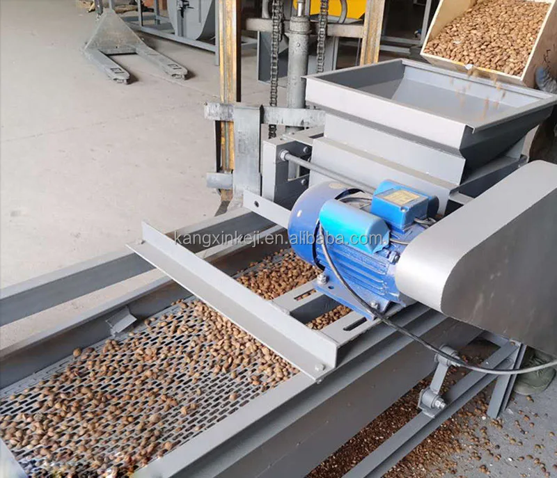Commercial Almond & Cashew Nut Cracking Machine - Automatic, OEM