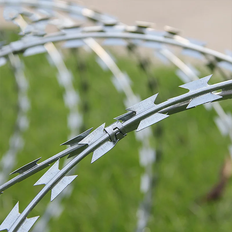 High Security Galvanized Concertina Razor Wire for Outdoor Garden ...