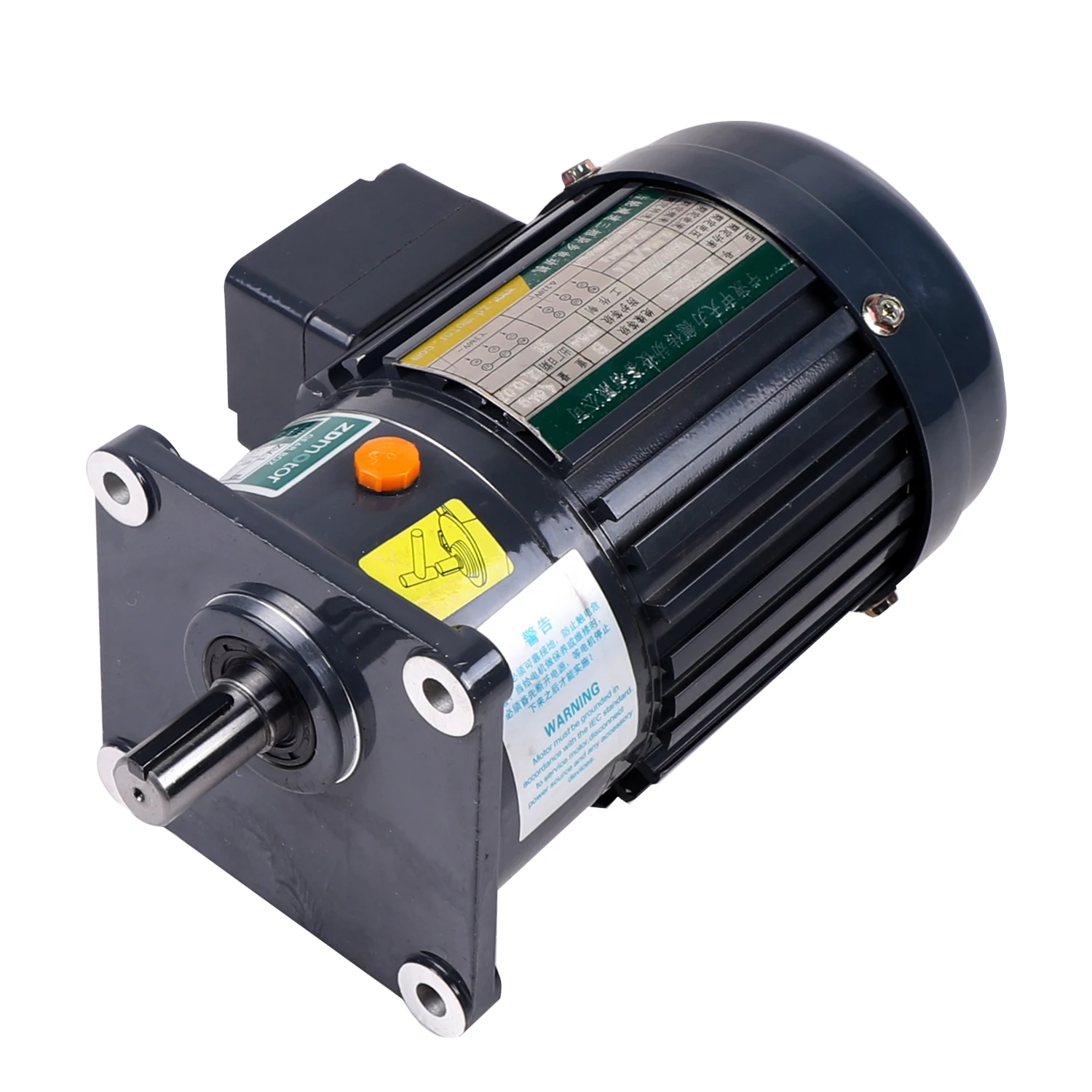 ZD Motor 220V 50hz High Torque AC Mini Motor ZH10050SZBG1LDQ1