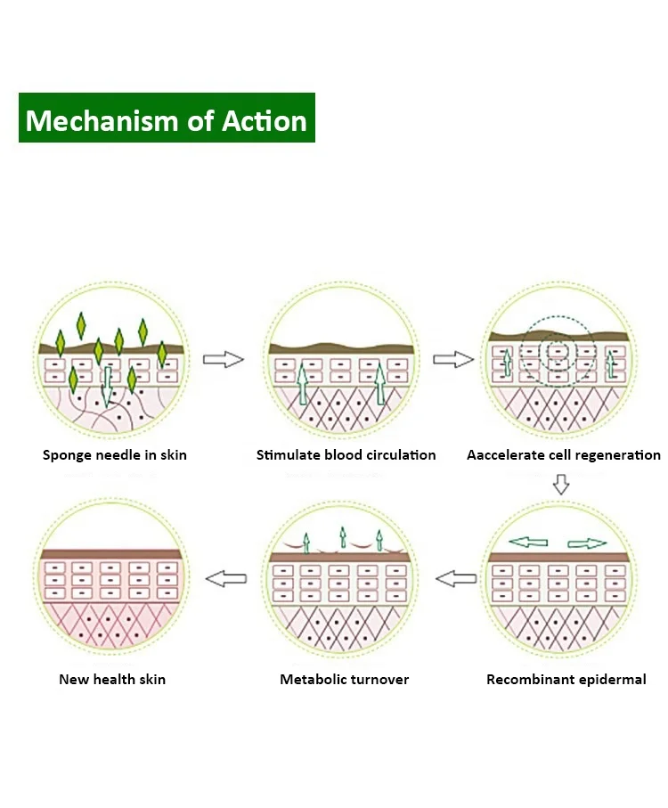 OEM Wholesale Face Exfoliating Spongilla Spicules Serum Algae Skin ...