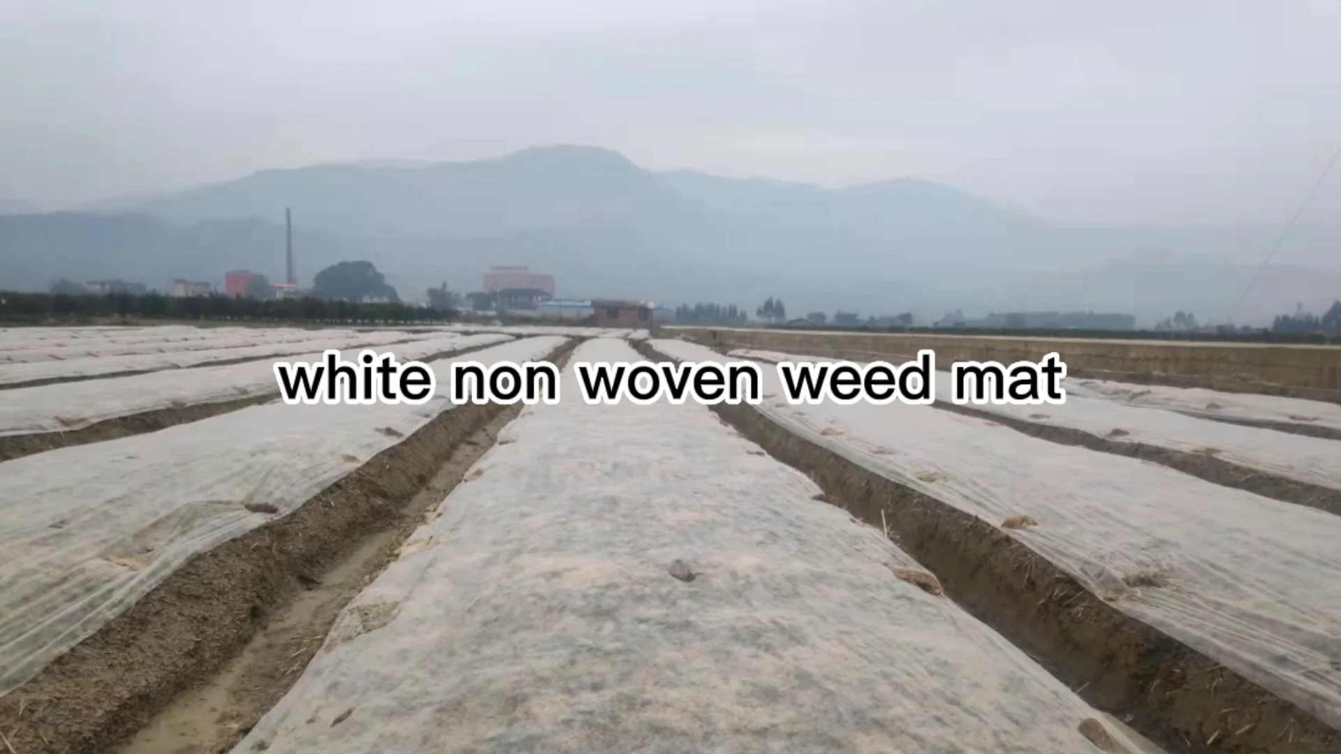 Nonwoven Frost Protection For Plants -floating Row Crop Cover / Frost ...