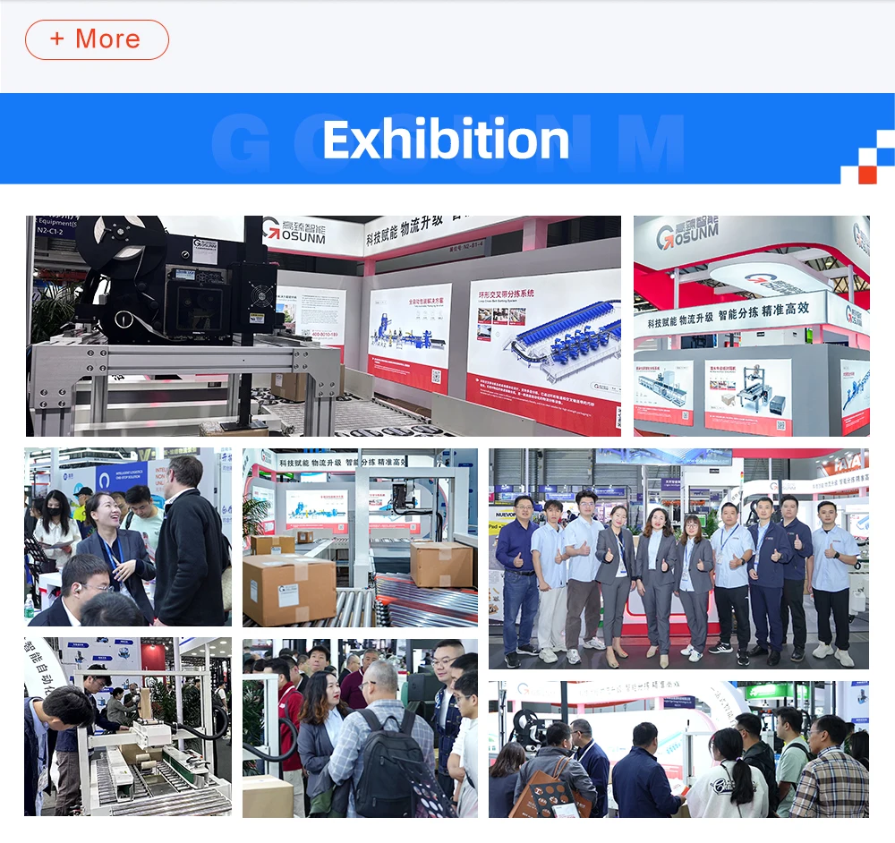 Automated Put Wall Sorting System Logistics Warehouse 3d Put Walls for ...