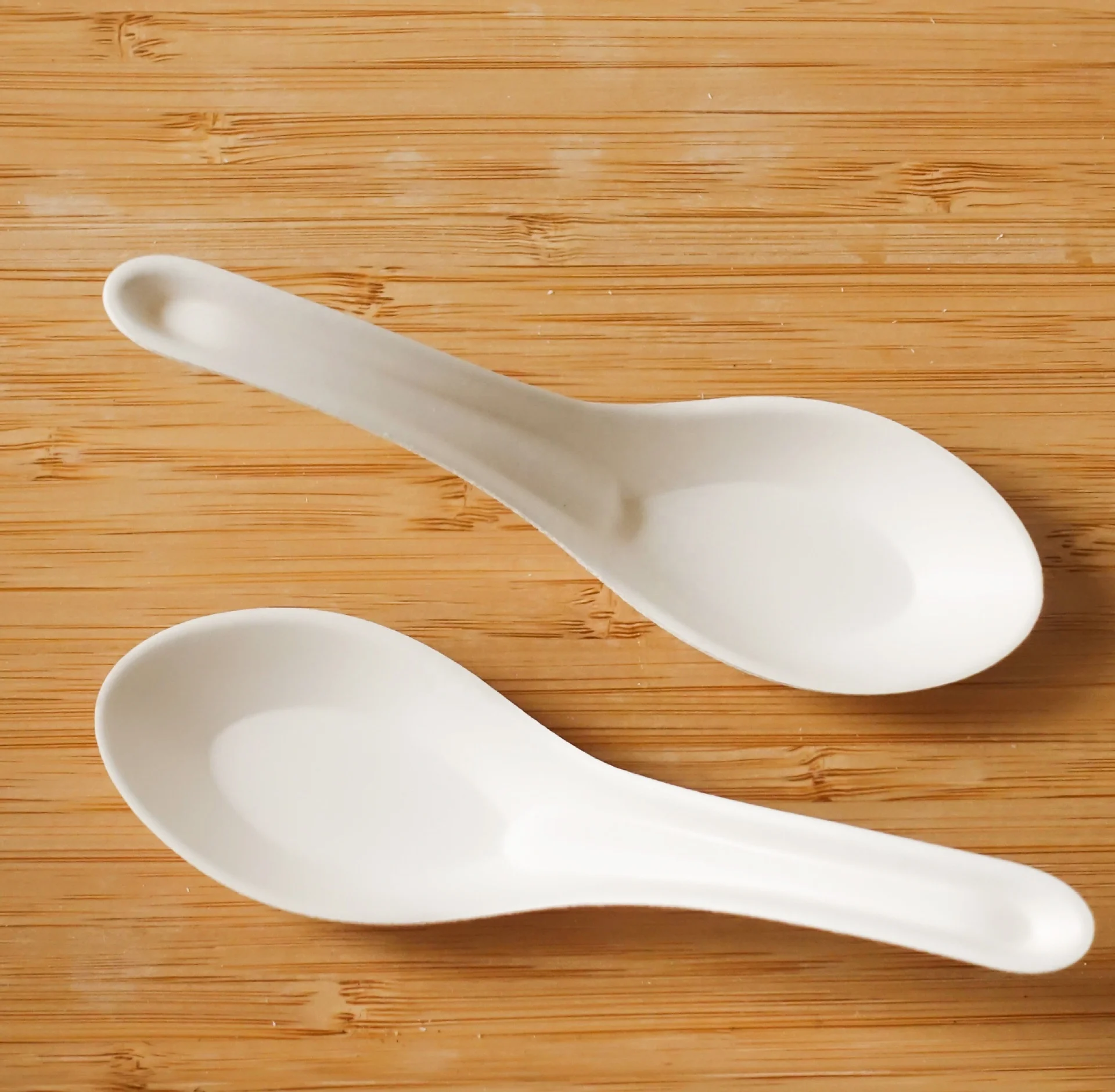 Wholesale Eco-friendly Biodegradable Cutlery Sugarcane Bagasse Paper ...