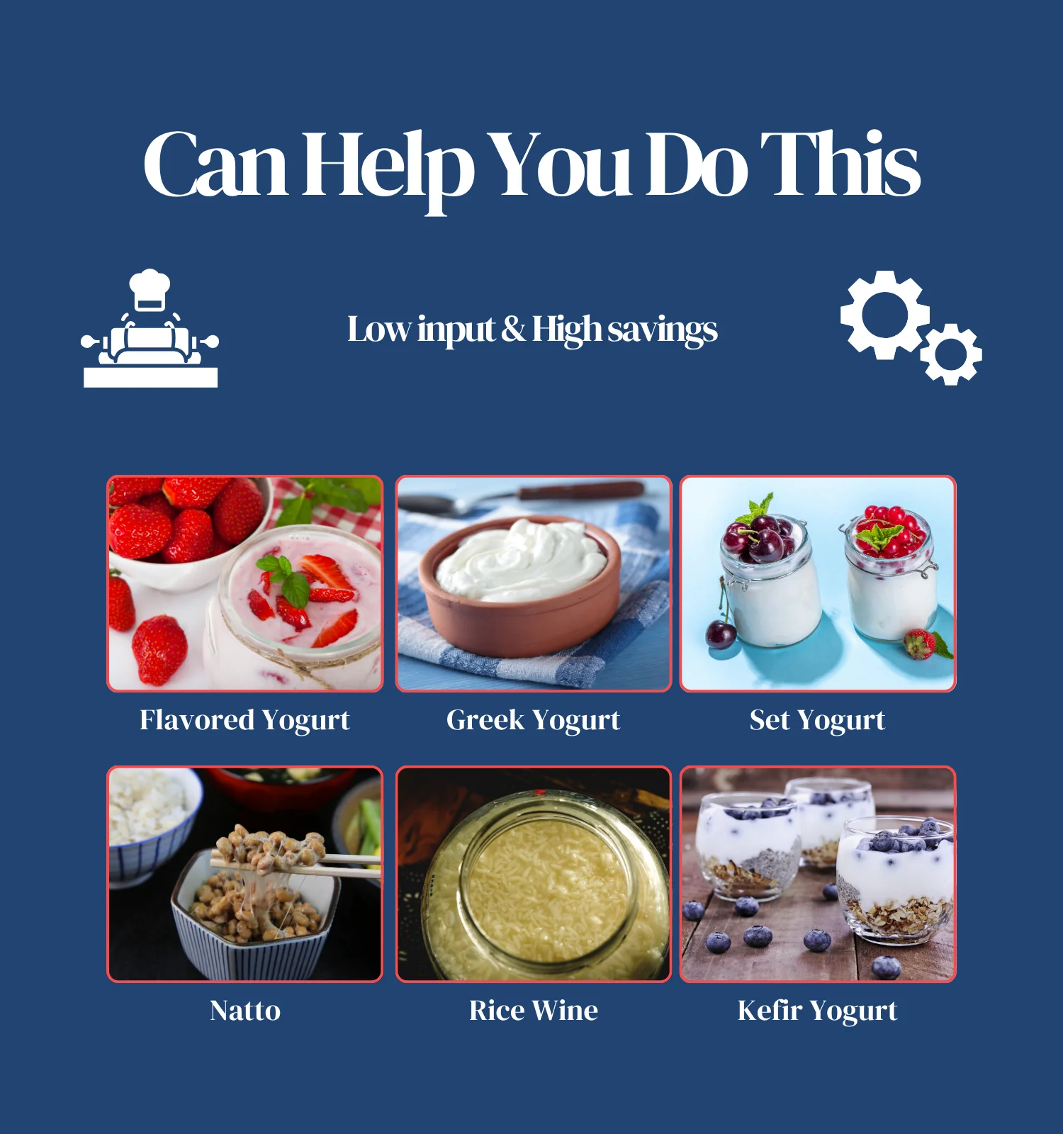 Commercial Yoghurt Machine Yoghurt Incubator/Yogurt Fermentation ...