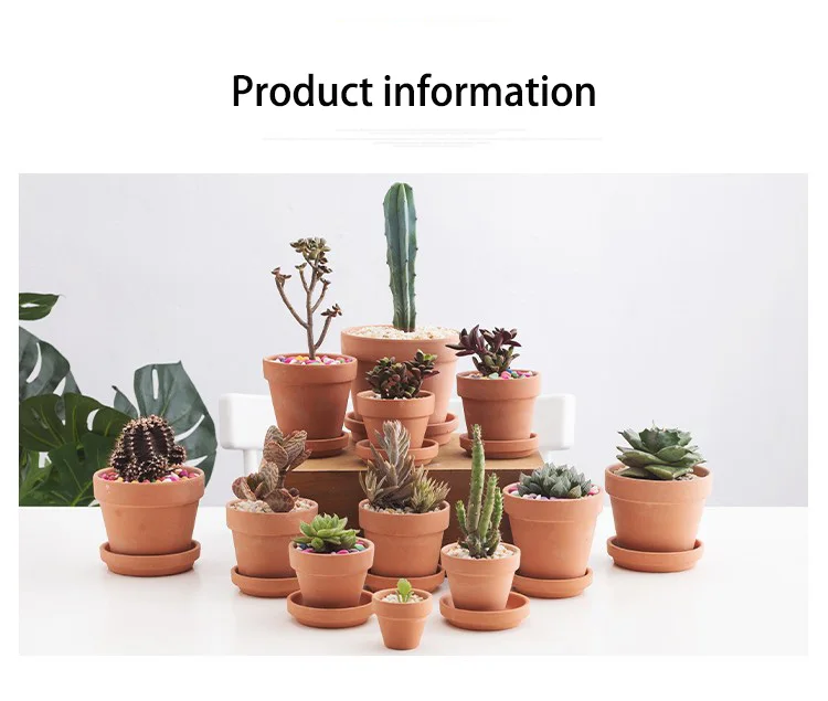 Wholesale Terracotta Pots - Perfect for Indoor & Outdoor