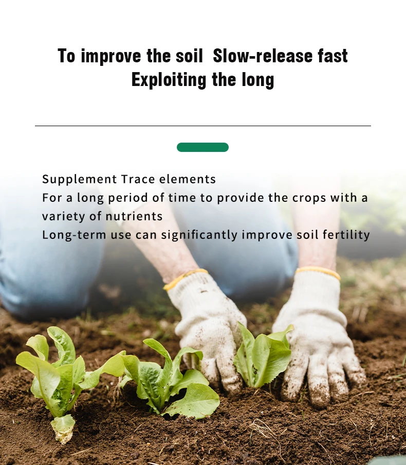 Seaweed Extract Fertilizer Organic Fertilizer - Buy Granulator Organic ...